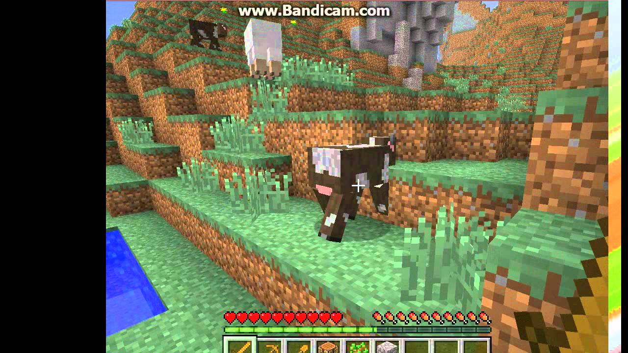 Minecraft : KILLING COWS !!!!!! :D - YouTube