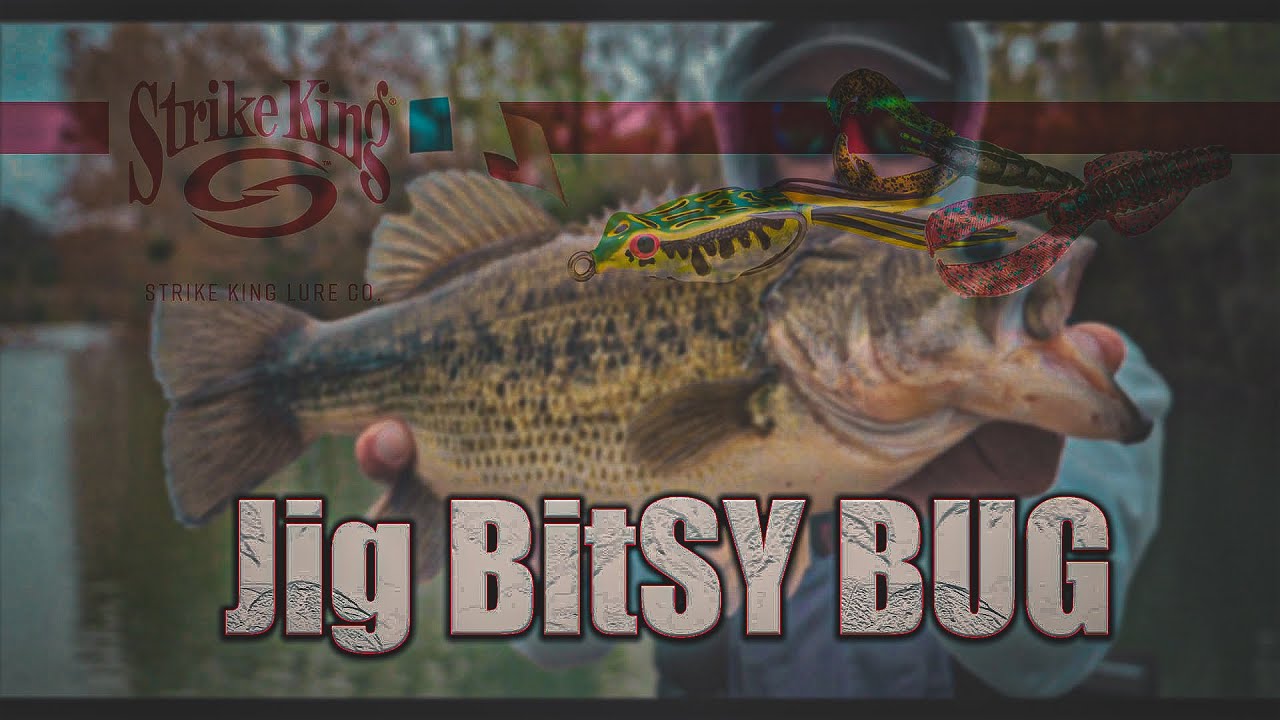 STRIKE KING BITSY BUG #garza - YouTube