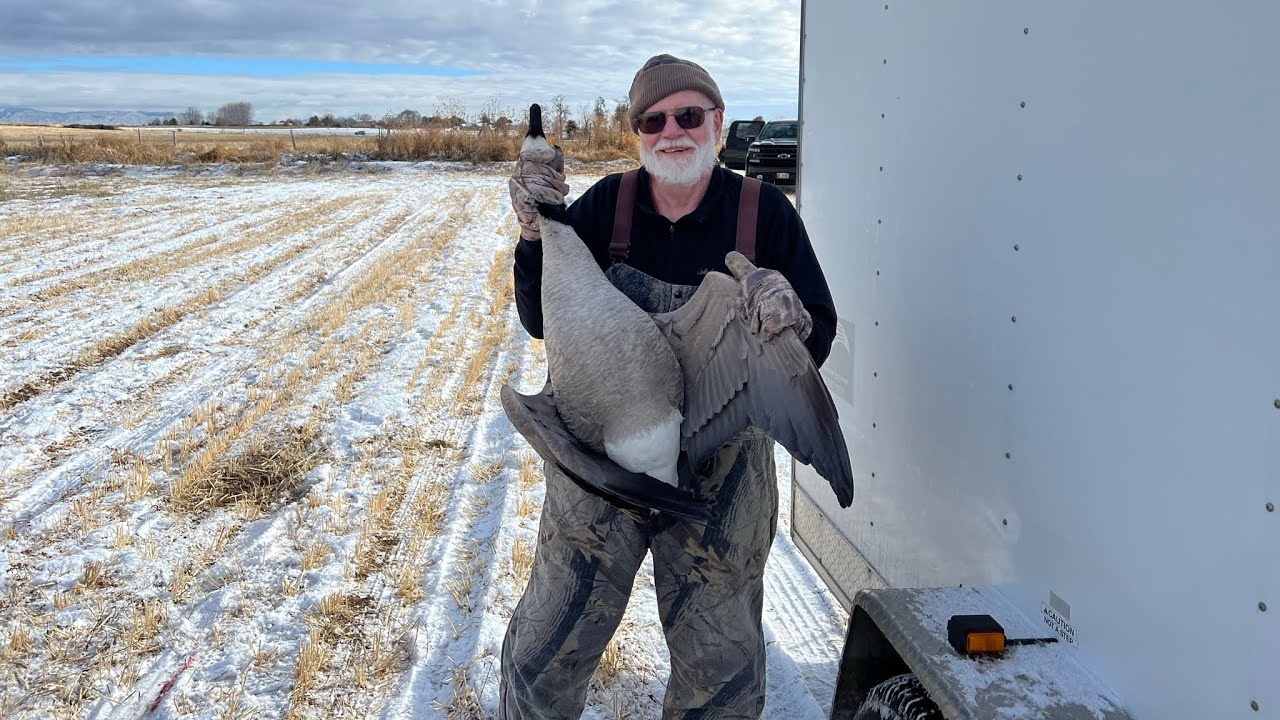 The Goose Busters last season. - YouTube