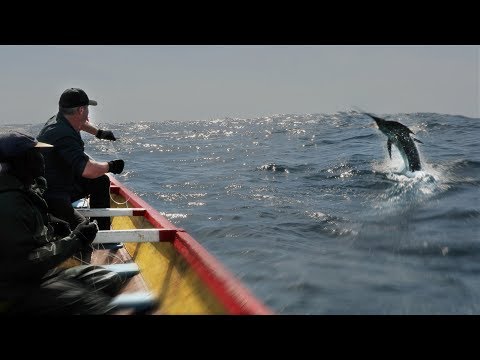 Un ÉNORME MARLIN à la LIGNE À MAIN ?! - Cyril Chauquet