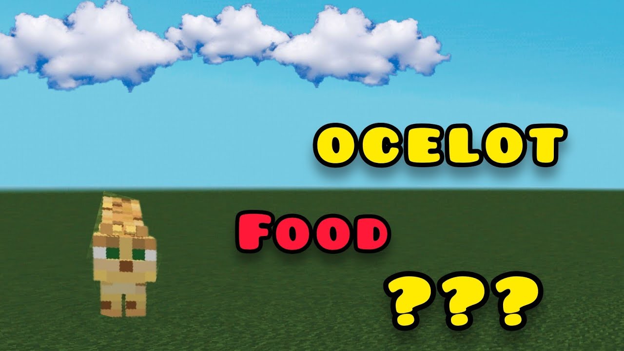 What does a ocelot eat? - YouTube