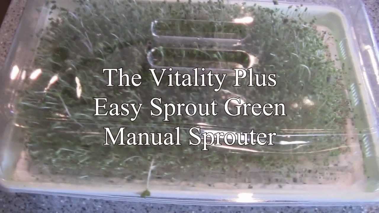 Vitality Plus Easy Sprout Green Manual Sprouter - YouTube