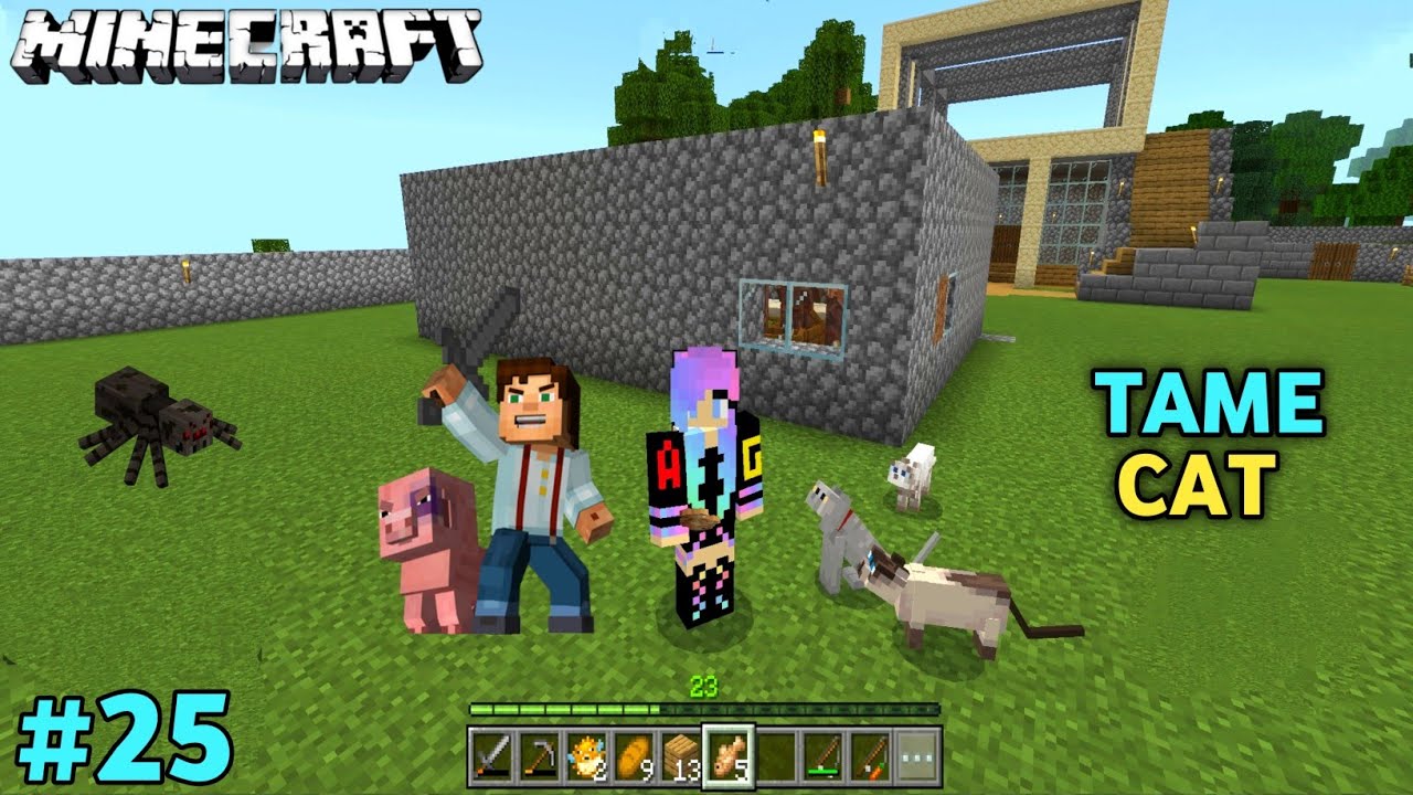 Finally I Tame A Cat 🐱 | MINECRAFT PE #25 - YouTube