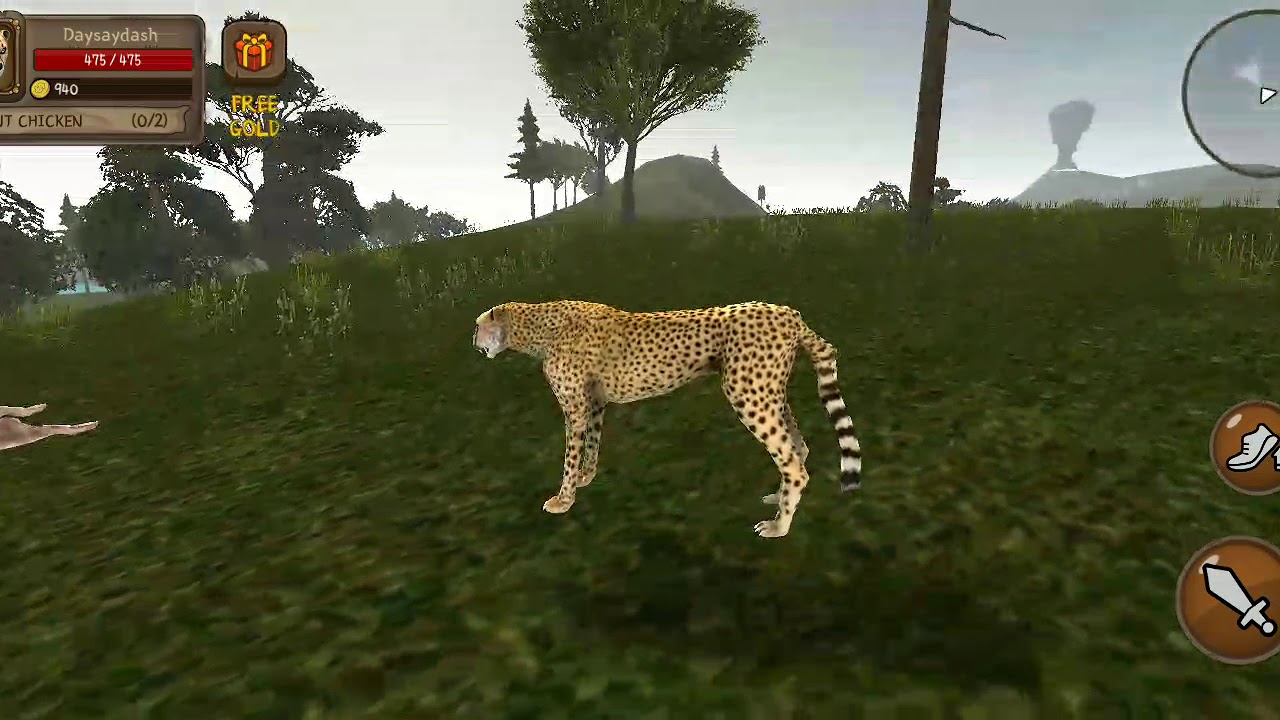Ultimate Cheetah simulator JC - YouTube