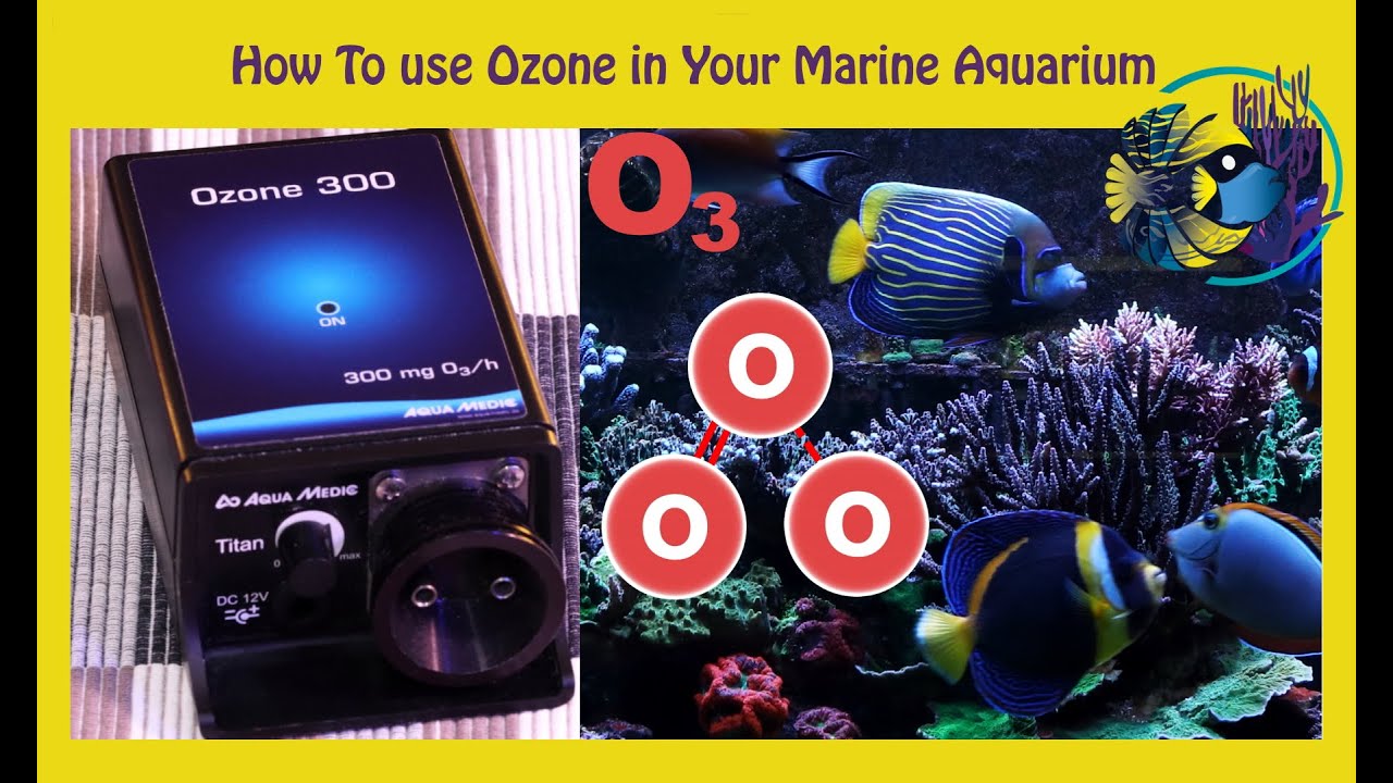 How to Use Ozone in Marine Aquarium - YouTube