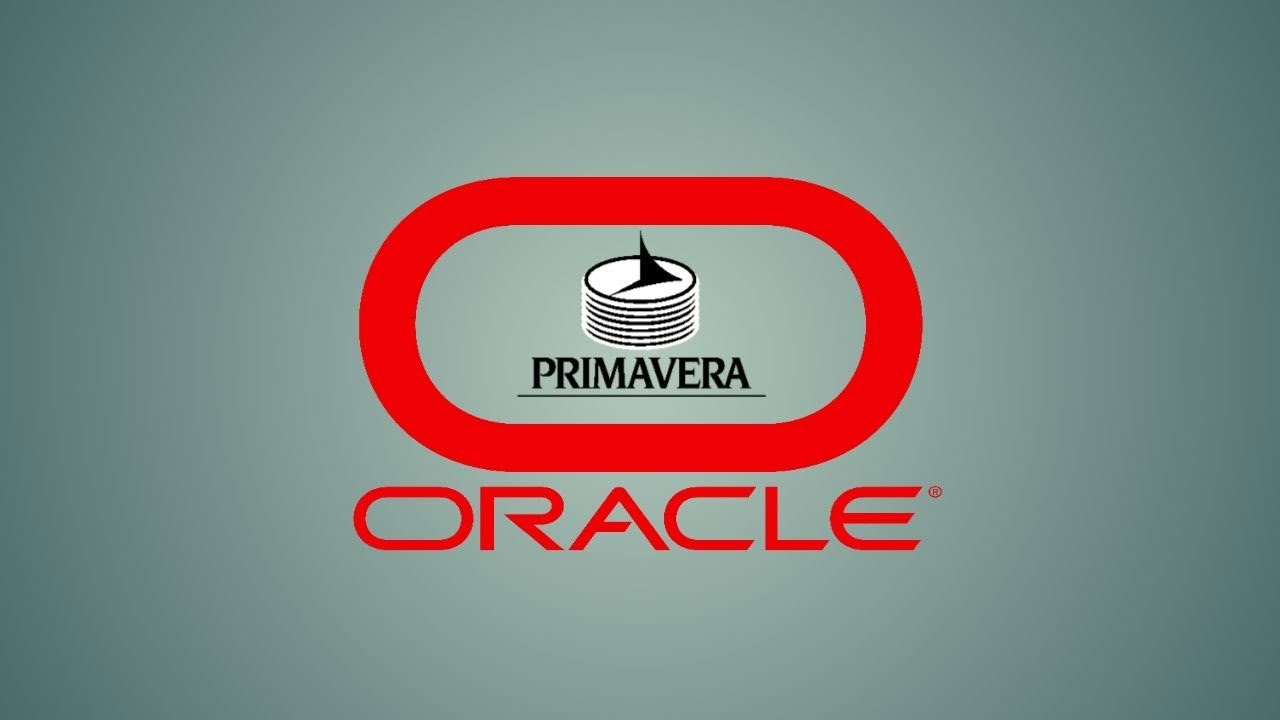 Primavera p6 Report Example :Documents Control - YouTube