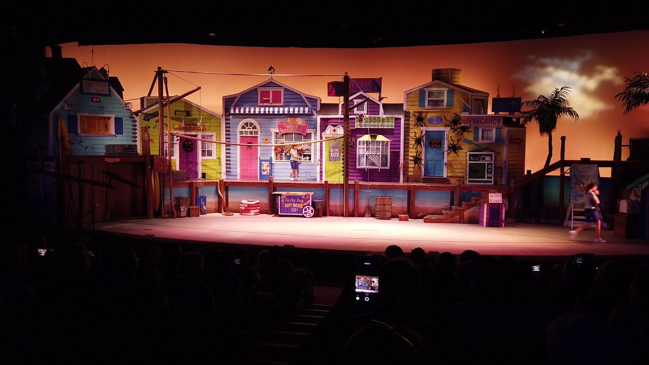 Pets Ahoy Show of Sea World Orlando FL - YouTube