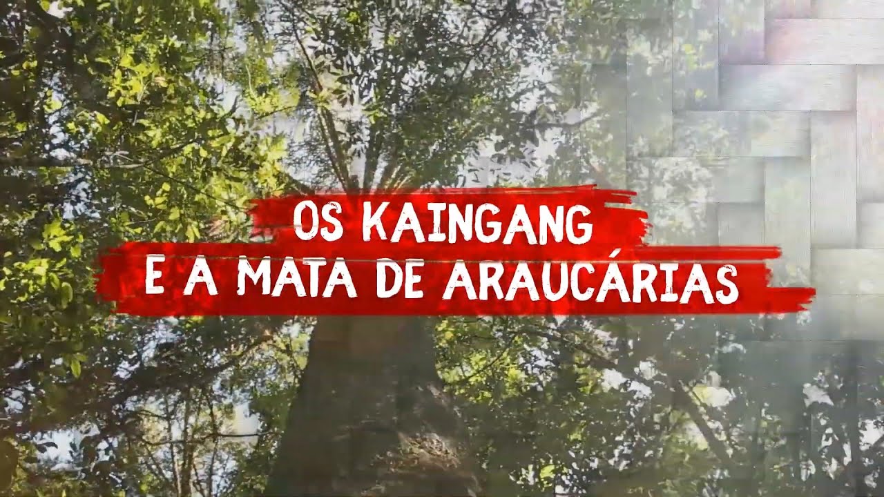 Retomada Kaingang de Canela - Os Kaingang e a Mata de Araucárias - YouTube