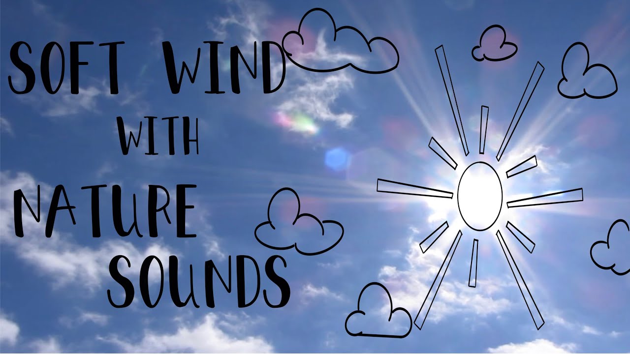 Soft Wind and Nature Sounds, Laying in a Field Watching the Clouds go ...