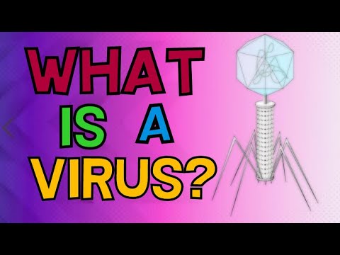 What is a Virus? BASIC INFORMATION ON THE STRUCTURE, FUNCTION AND ...