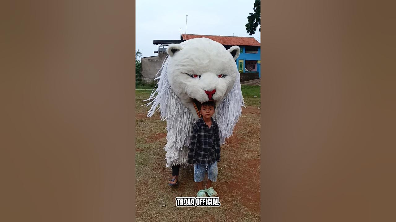 Bocil ff dikejar can macanan langsung digigit - YouTube