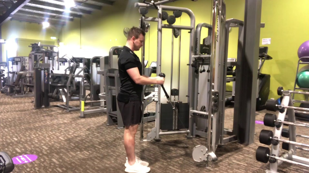 Curl - Standing - Neutral Grip - Low Pulley - YouTube