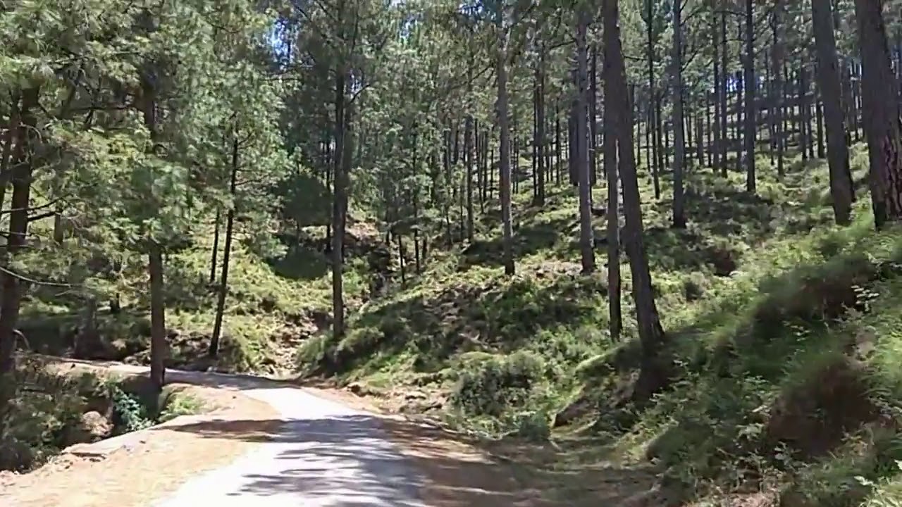 Danoi Forest | Kotli Sattian - YouTube