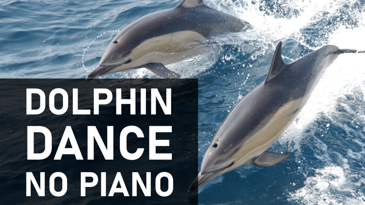 Dolphin Dance: Backing Track for piano - YouTube