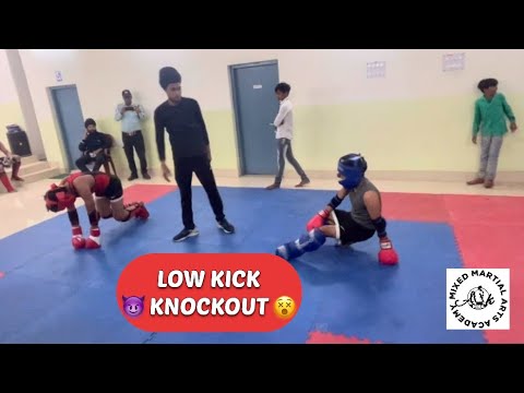 Low Kick Knockout in Muay Thai - YouTube