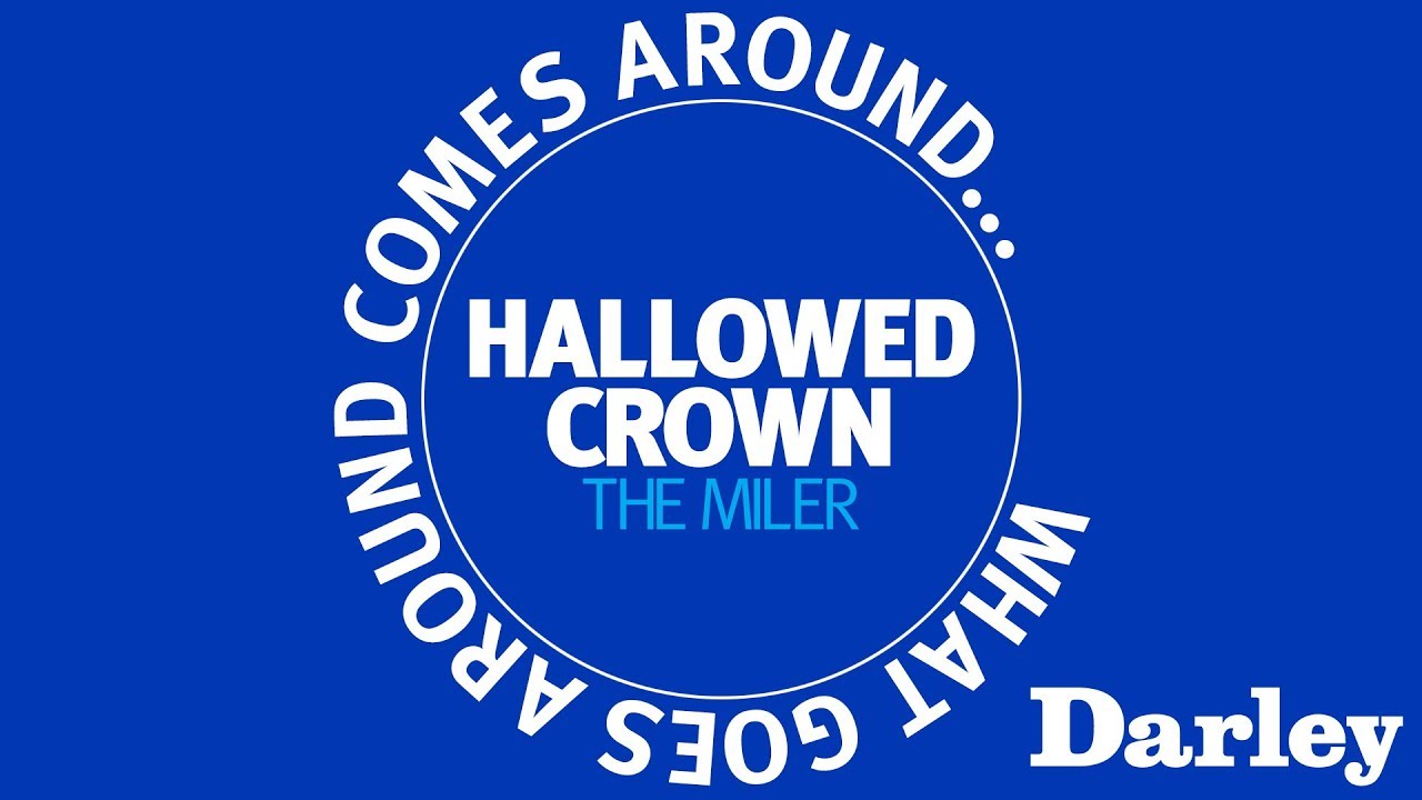 Hallowed Crown - first yearlings at the sales now! - YouTube