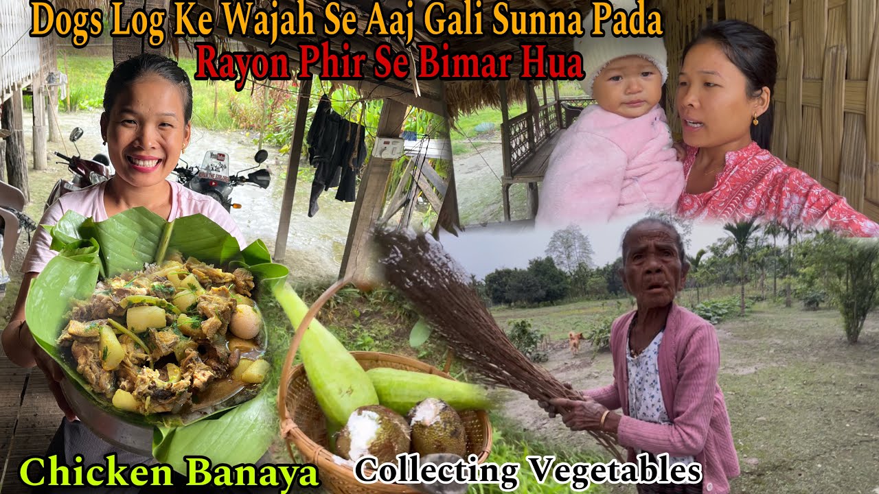 Collecting Vegetables|Food Donate Kiya|| Kutta Ke Wajah Se Gali Kaya😅 ...
