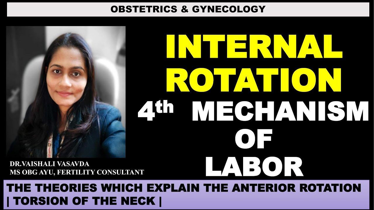 Internal Rotation of the Fetus During Labour | Dr.Vaishali Vasavda ...