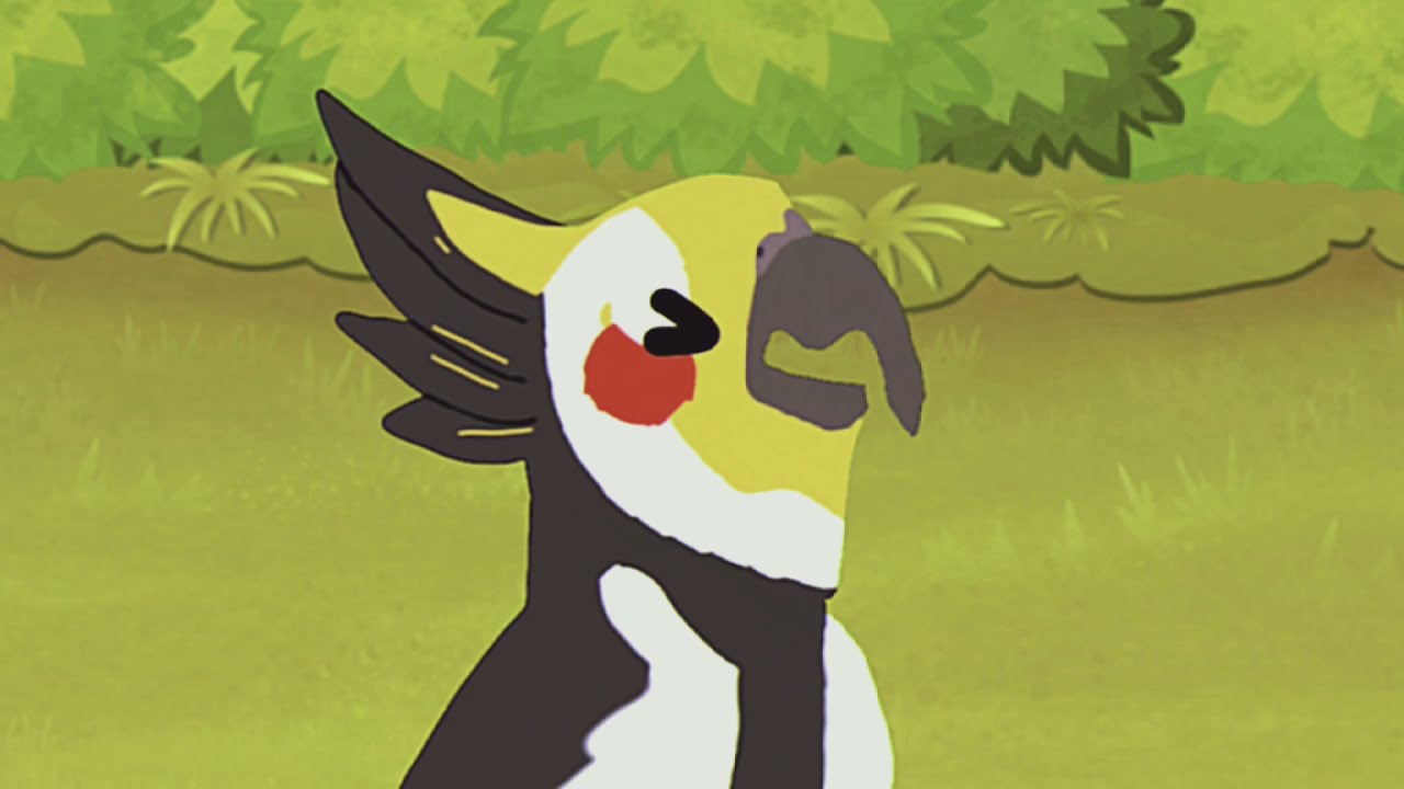 bird land paradise close up meme (animation) - YouTube