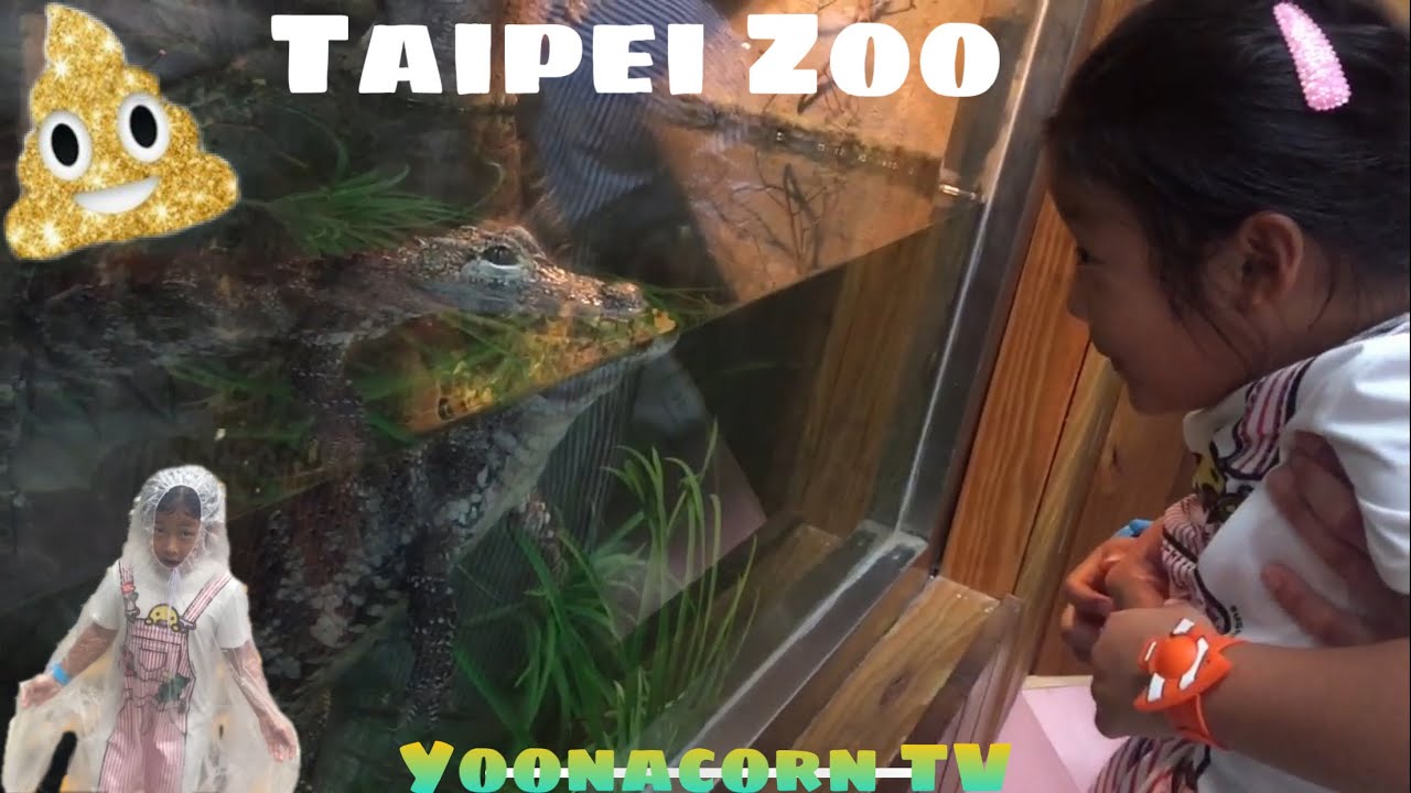 DRIED POOP AT THE ZOO!?!? STARING CONTEST WITH A CROCODILE!? WHO WILL ...