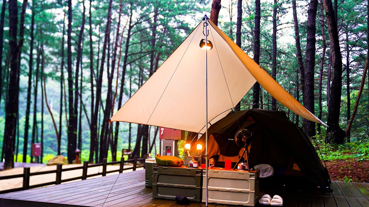 Relaxing Solo Camping in the Forest on a Rainy Day - Reunion with Cat ...