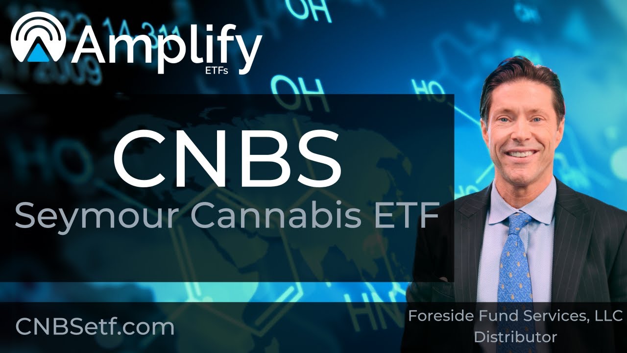 The Amplify Seymour Cannabis ETF Update with Tim Seymour - YouTube