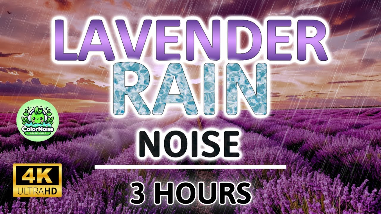 Soothing Lavender Rain Noise | 3 Hours BLACK SCREEN | Study, Sleep ...