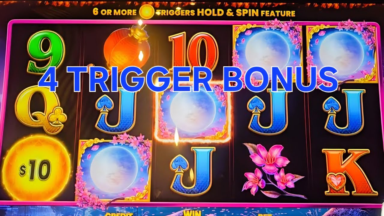 Just Released Big Win Slot Videos: The Latest & Best Payouts