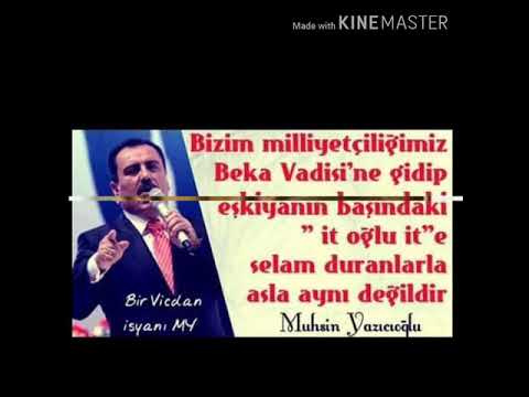 ÜLKÜCÜ ALPEREN BOZKURTLAR HAREKATI