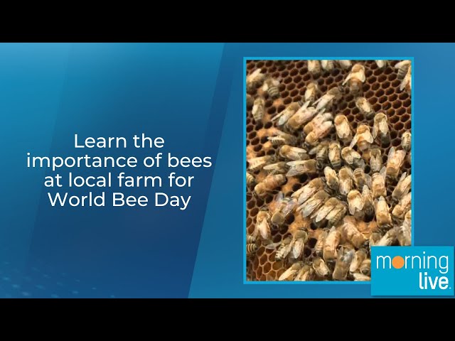 Bee Local Farms
