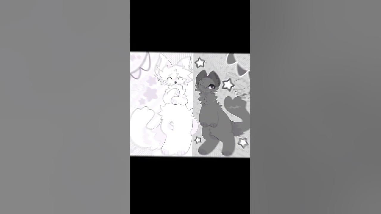 Wenda X Gray 3 Youtube