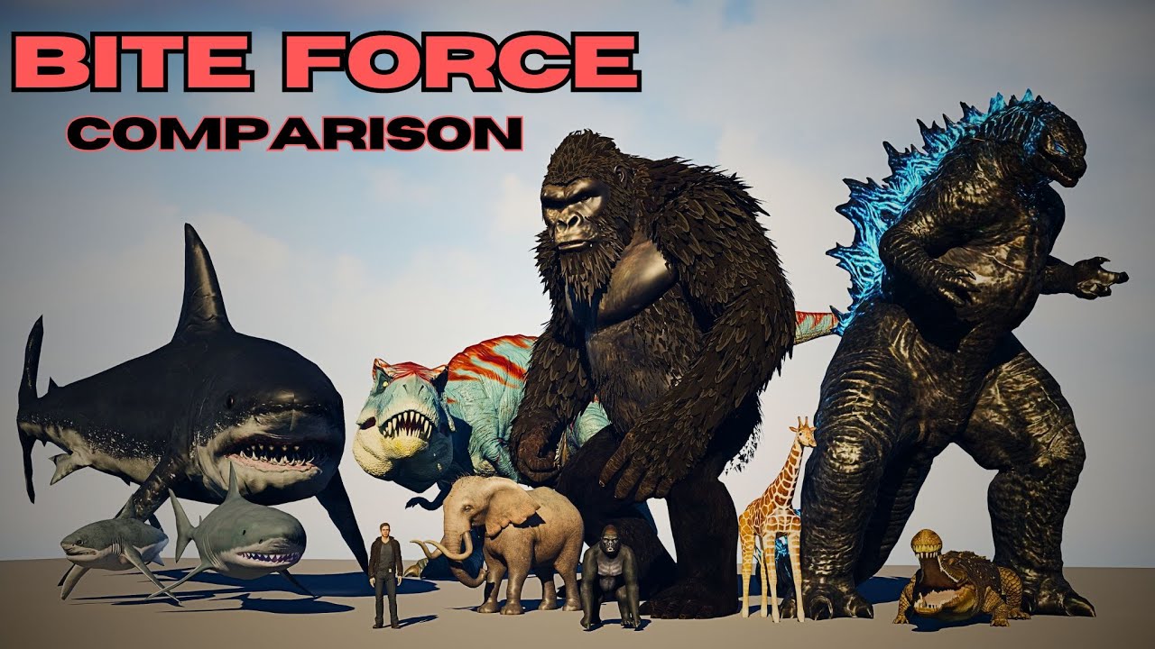 Animal Bite Force Comparison - YouTube