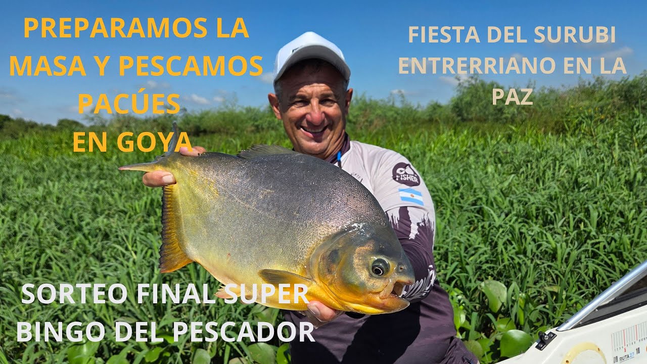 FIESTA DEL SURUBI ENTRERRIANO, BINGO DEL PESCADOR Y PESCA DE PACÚ EN ...