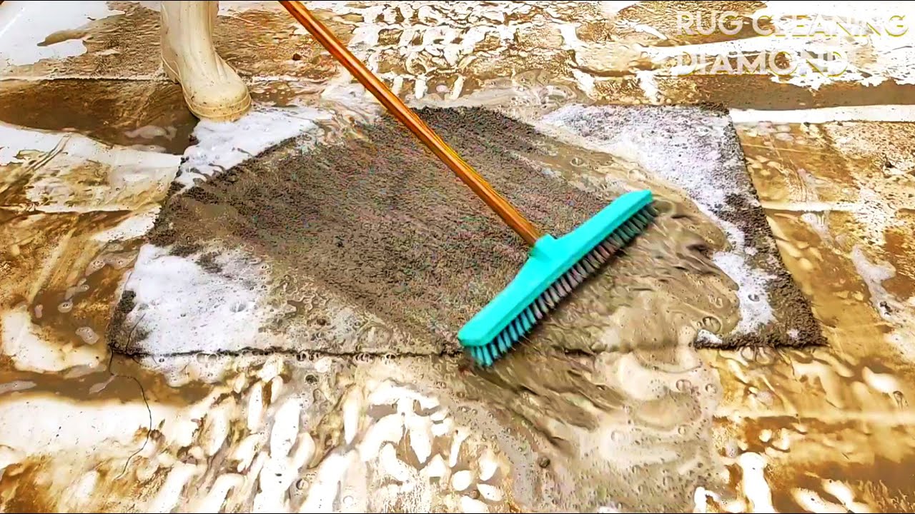 Ultimate Rug Cleaning Reveal: From Muddy Mess to Fresh & Fluffy! - YouTube