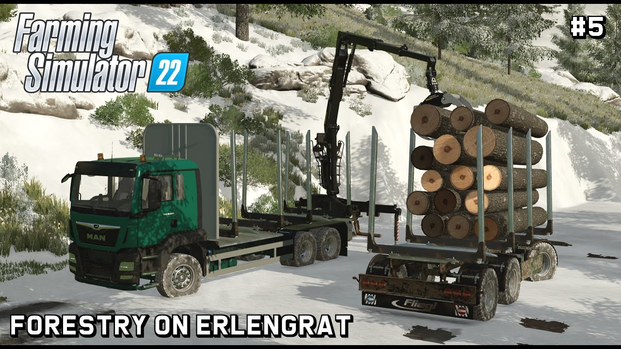 Transporting LOGS with new MAN truck | Forestry on ERLENGRAT | Farming ...