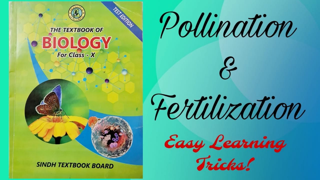Pollination & Fertilization || Class X || 10th Biology - YouTube