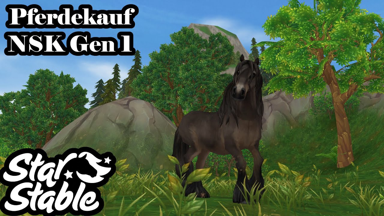 [SSO] Bye Bye NORDSCHWEDISCHES KALTBLUT Generation 1! Pferdekauf RETRO ...
