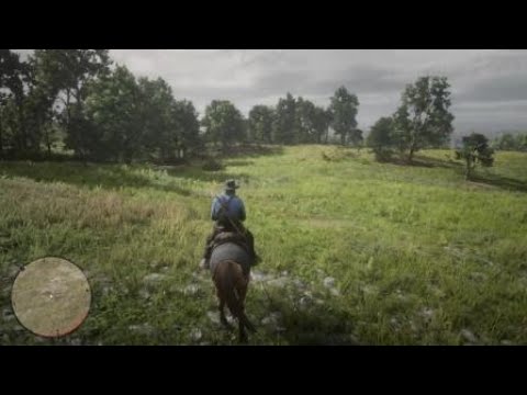 Red Dead Redemption 2: MR. BLACK & MR. WHITE - YouTube