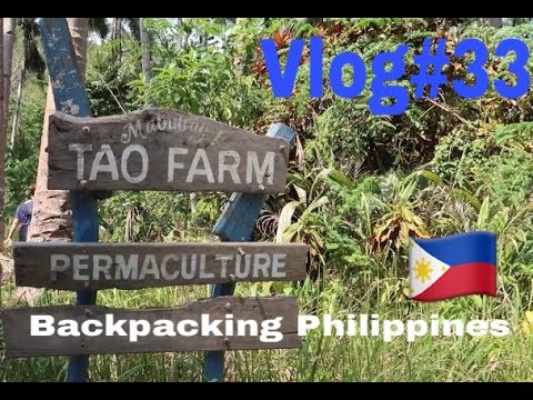 Tao Philippines Part 3 / Tao Farm / El Nido nach Coron / Backpacking ...