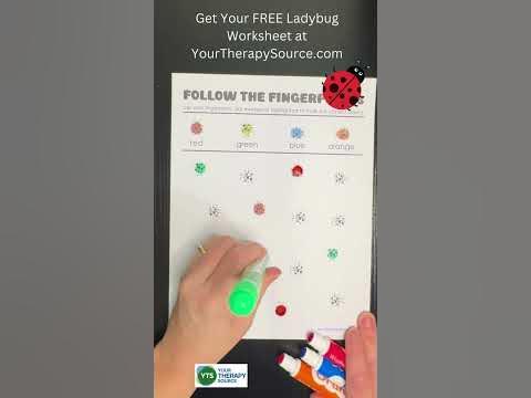 Ladybug Visual Spatial Worksheet - YouTube