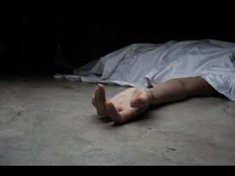 Roblox Murder game (Flicker)