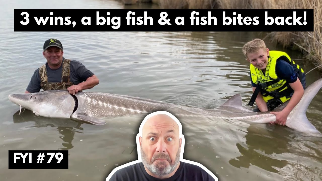 3 Wins, A Big Fish & A Fish Bites Back! FISHING NEWS FYI-79 - YouTube