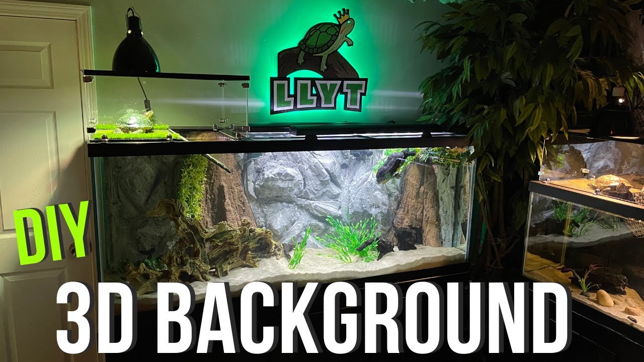DIY 3D BACKGROUND for My Turtle Tank - Step by Step - YouTube