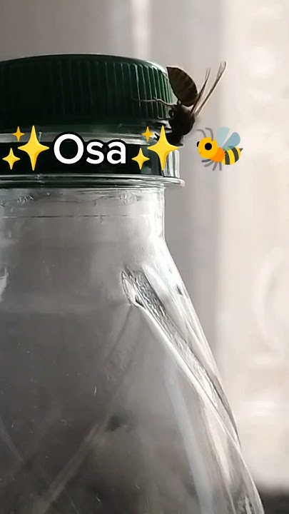 osa - YouTube