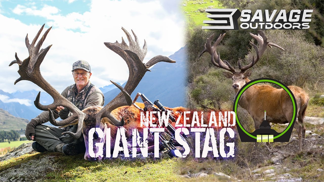 GIANT STAG in NEW ZEALAND - YouTube
