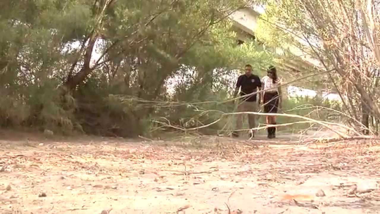 Alex Stockwell Reporter Reel - YouTube