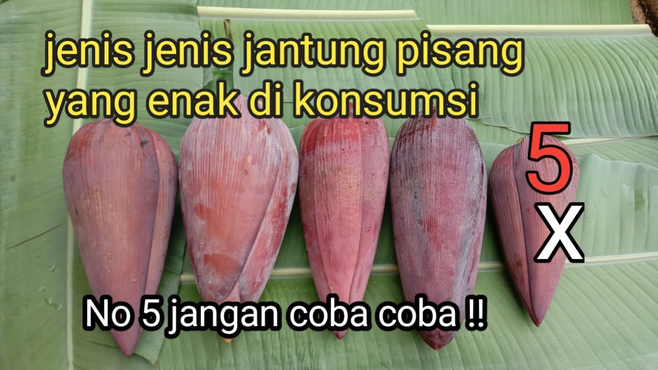 Jenis Jenis Jantung Pisang Yang Enak Di Makan - YouTube