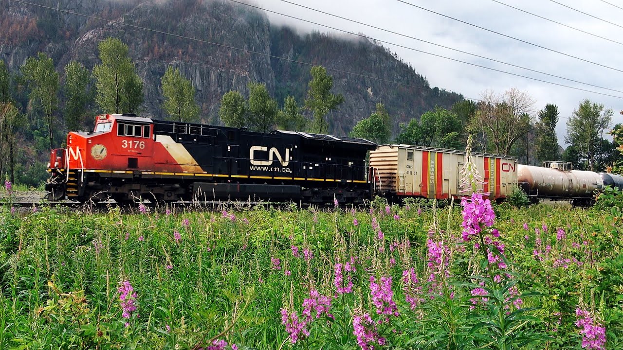 State of-the-art CN Safety Inspection Boxcars With Self Sufficient Rail ...