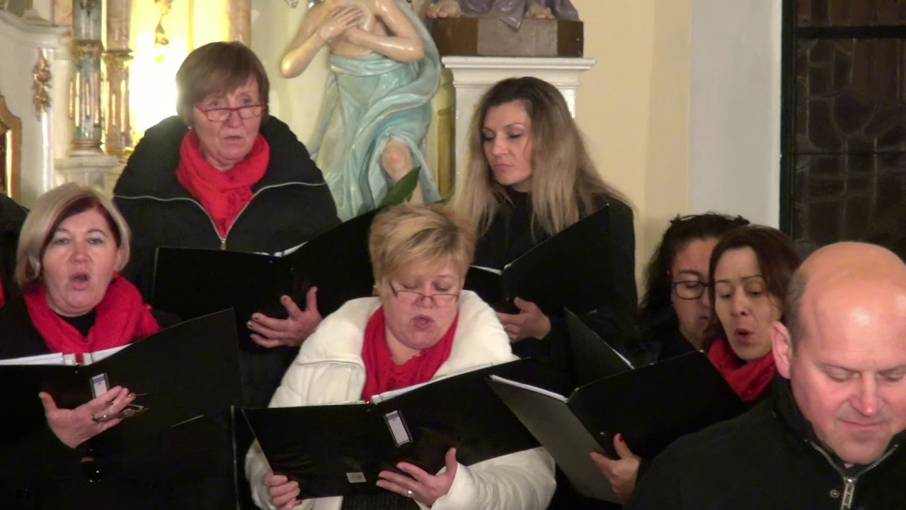 ŽePZ Mravljice, Slovenski citrarski kvartet, Peter Pirc in Dušan Kotar ...