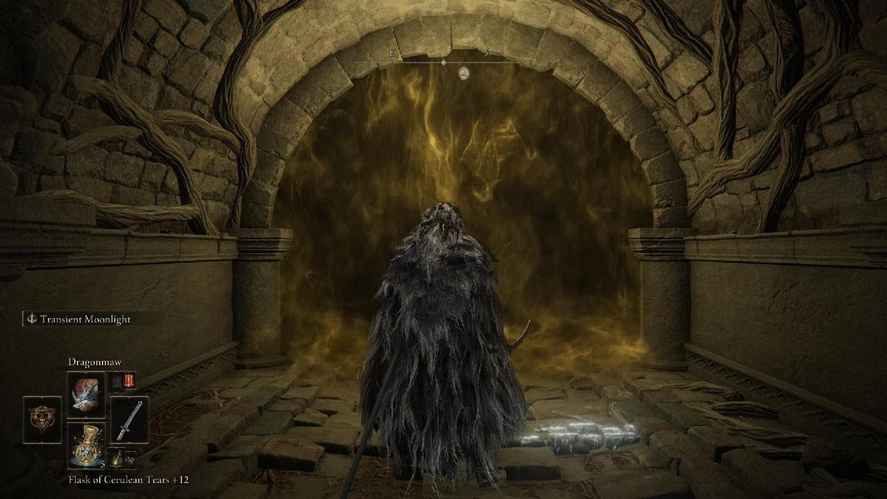 ELDEN RING Death knight Scorpion River Catacombs - YouTube